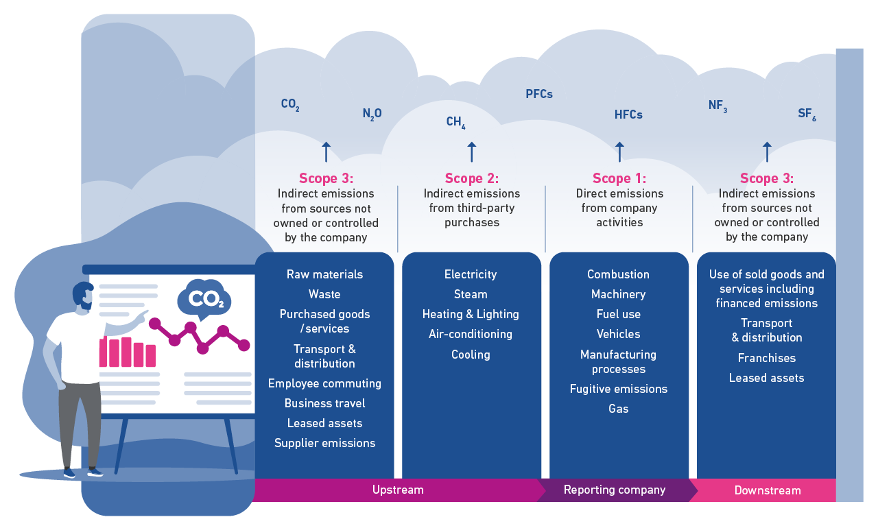 What is Carbon Accounting? Guide for Businesses in 2024 - Experian UK