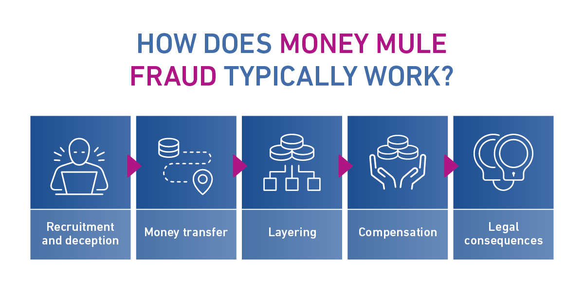 Money Mules: A Complete Guide | Experian