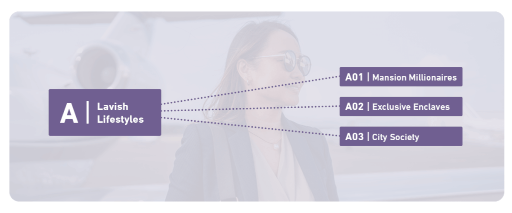 Mosaic Segmentation Groups | Target Smarter with Experian
